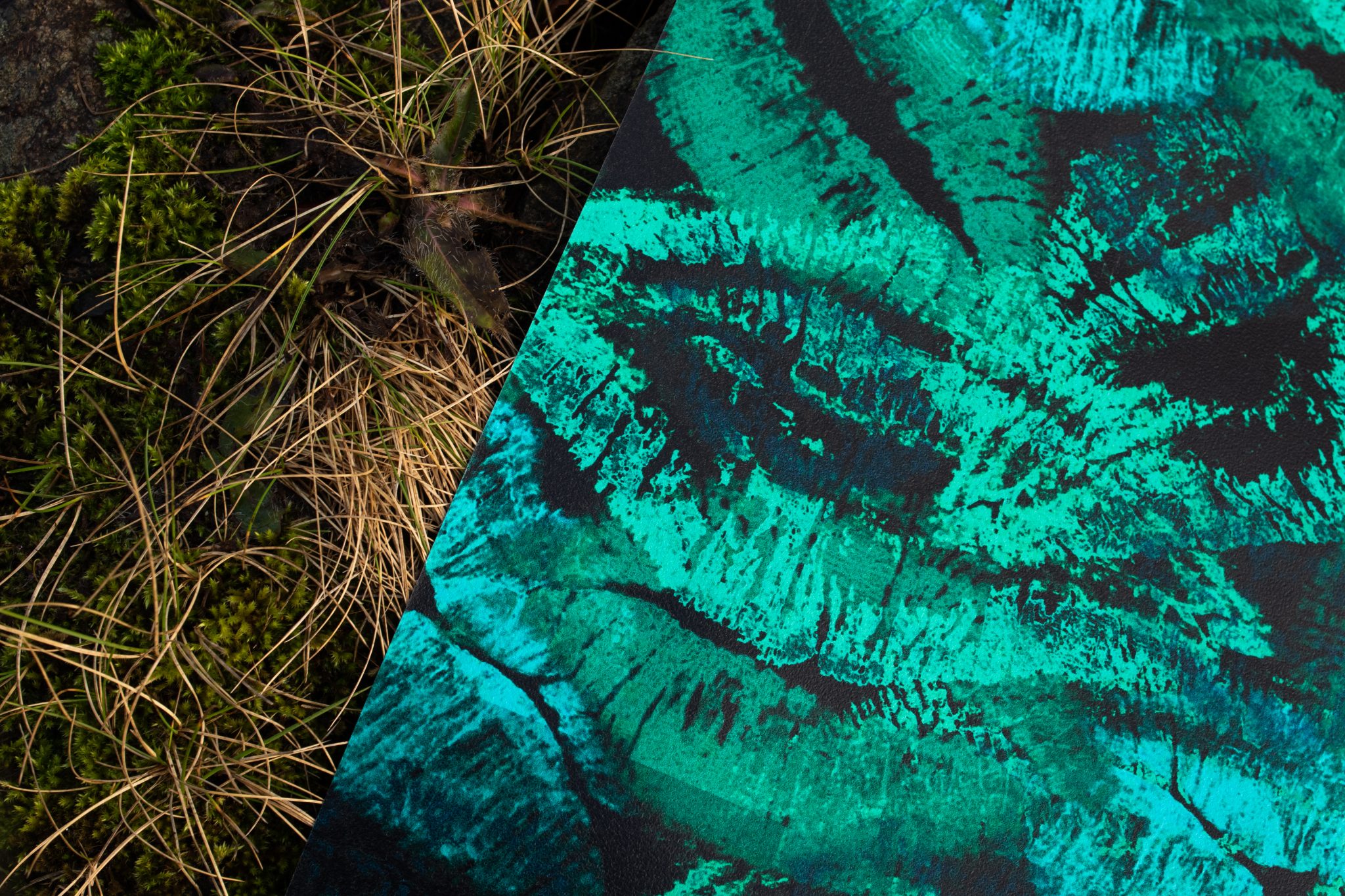 Using Colour in your Home - Westender Magazine